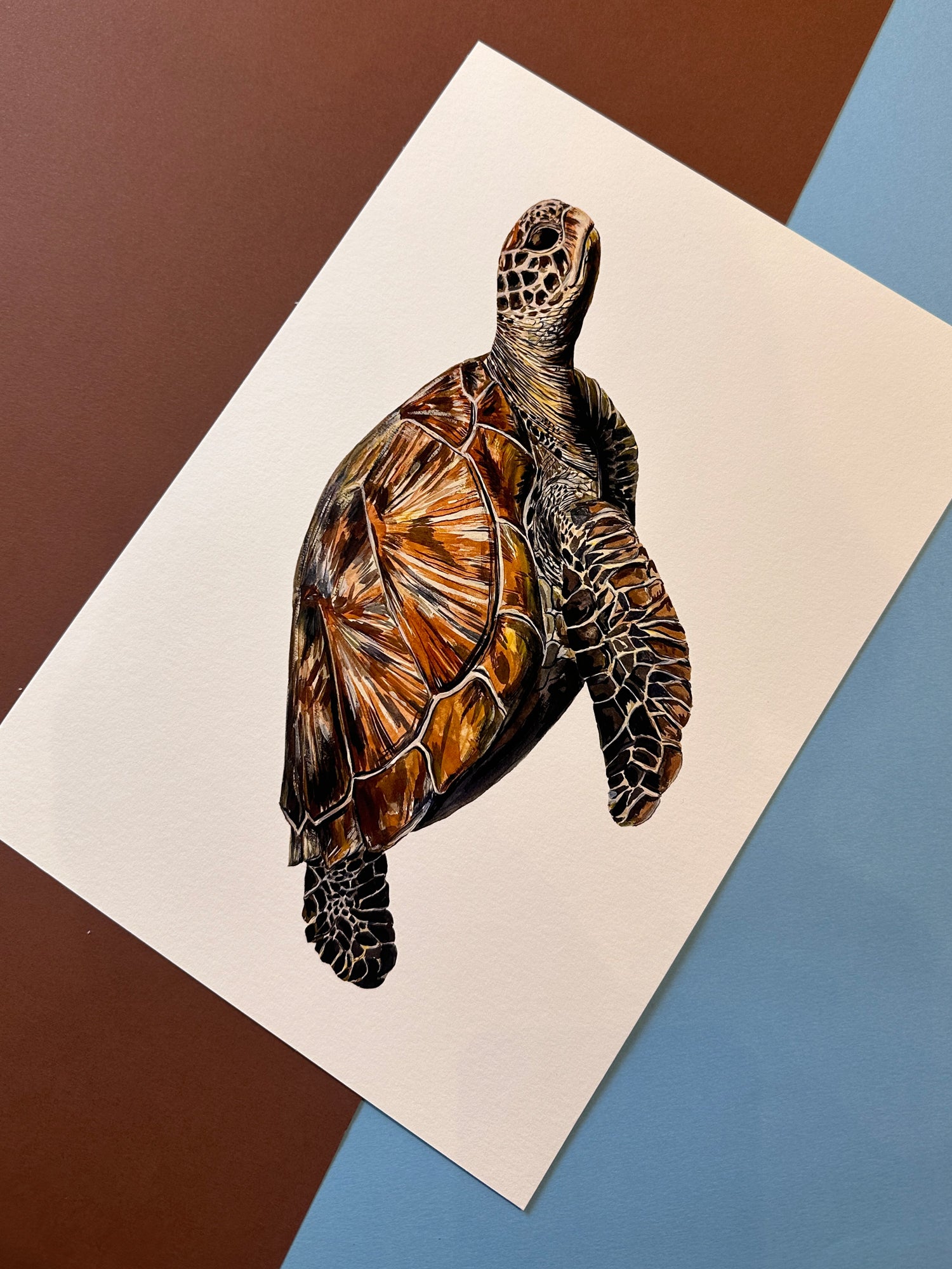 A4 Turtle Print – Max Made Me Do It