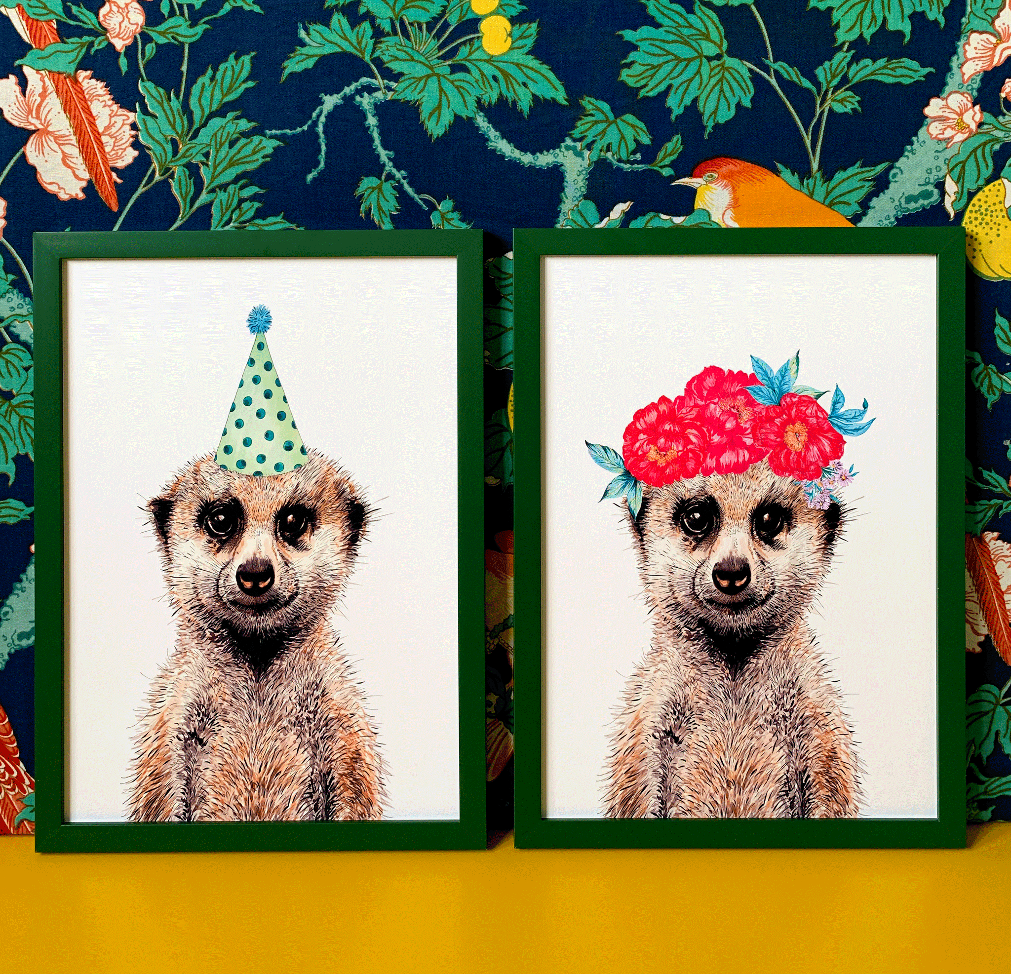 Meerkat Pictures To Print Meerkat Poster | Arthipo